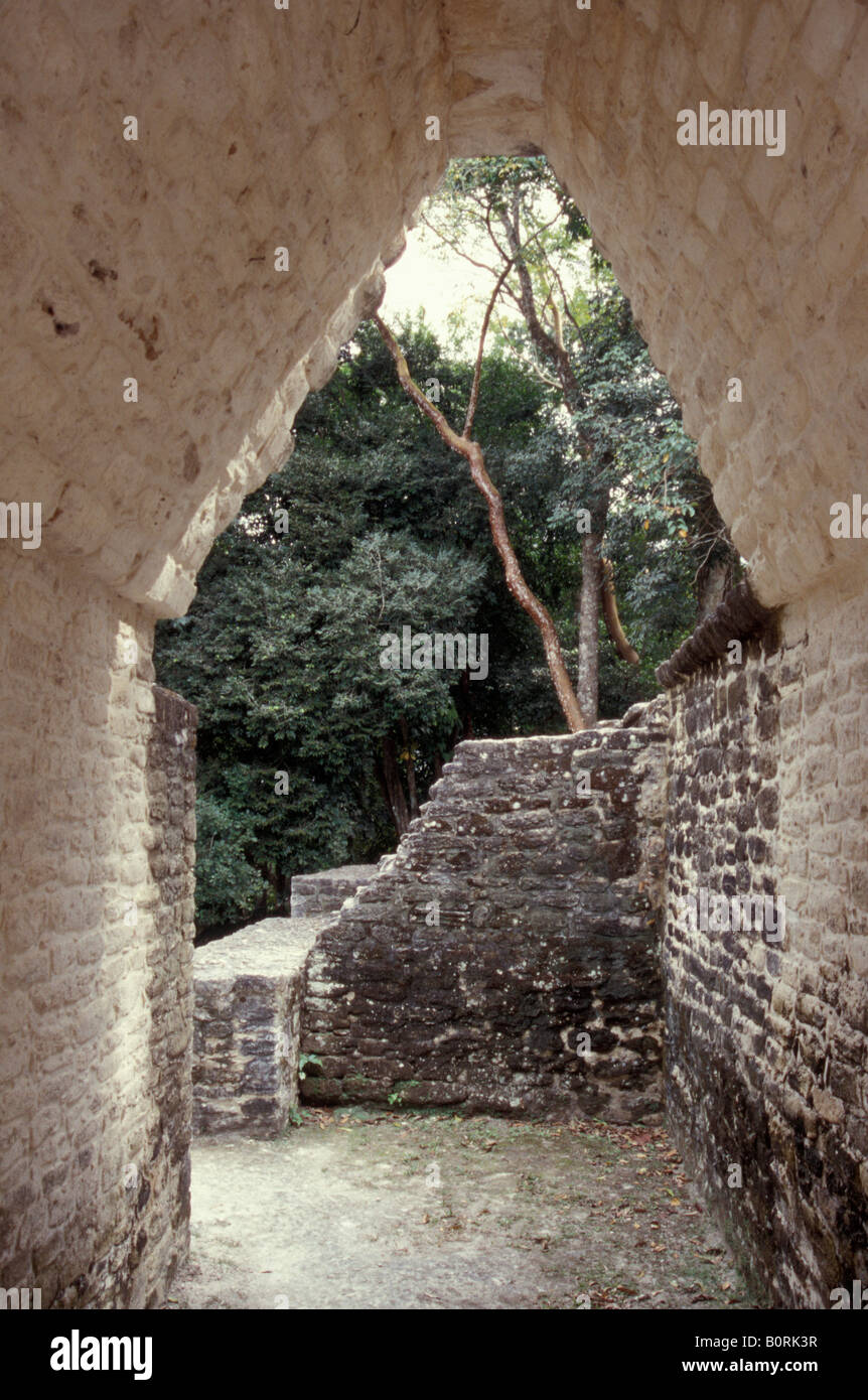 Mayan corbeled arch at the ruins of Cahal Pech near the town of San ...