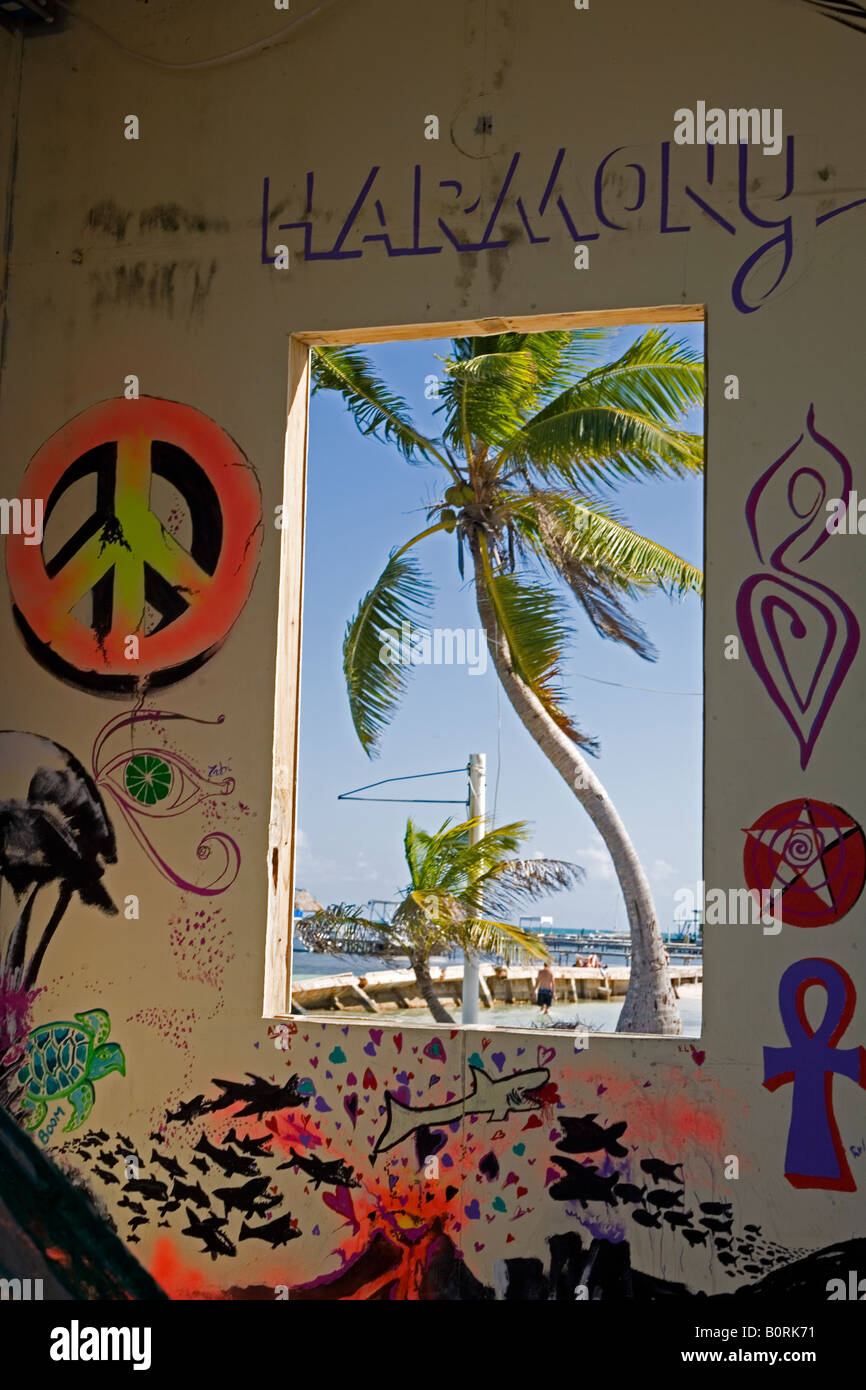 Palm trees and blue sky on a windy day as seen through a window with ...