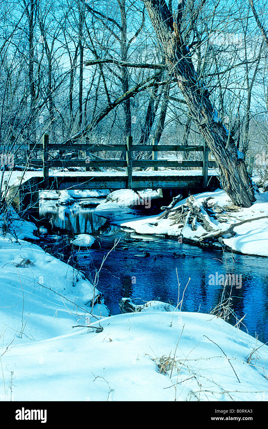 Wood bridge across a creak at Severson Forest Preserve vertical nature ...