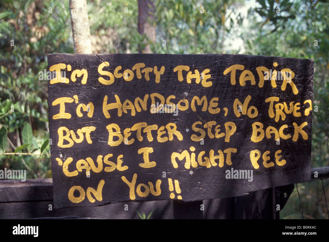 Humorous tapir sign at the Belize Zoo, Belize, Central America Stock ...