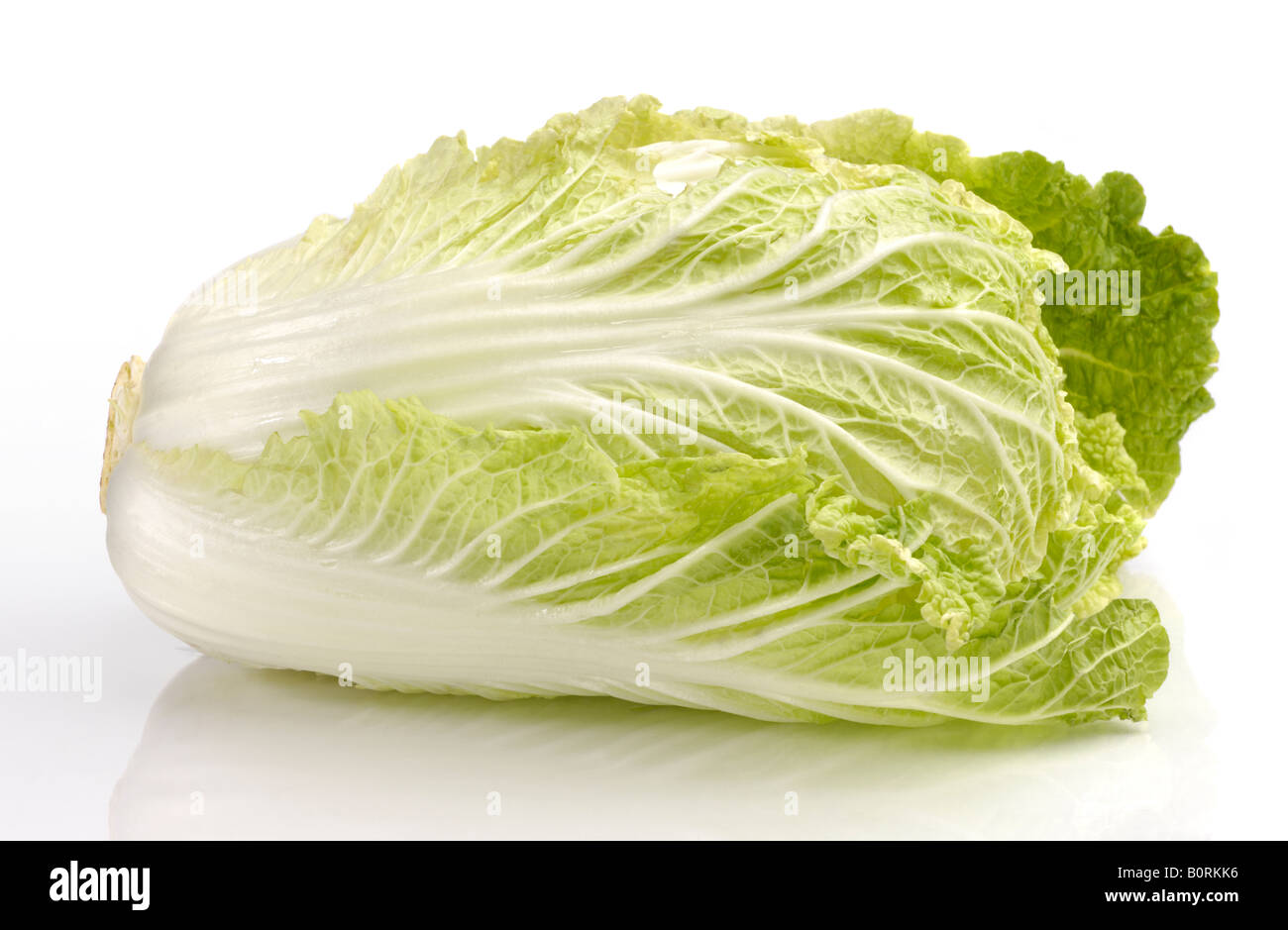 Napa Chinese Cabbage Stock Photo - Alamy