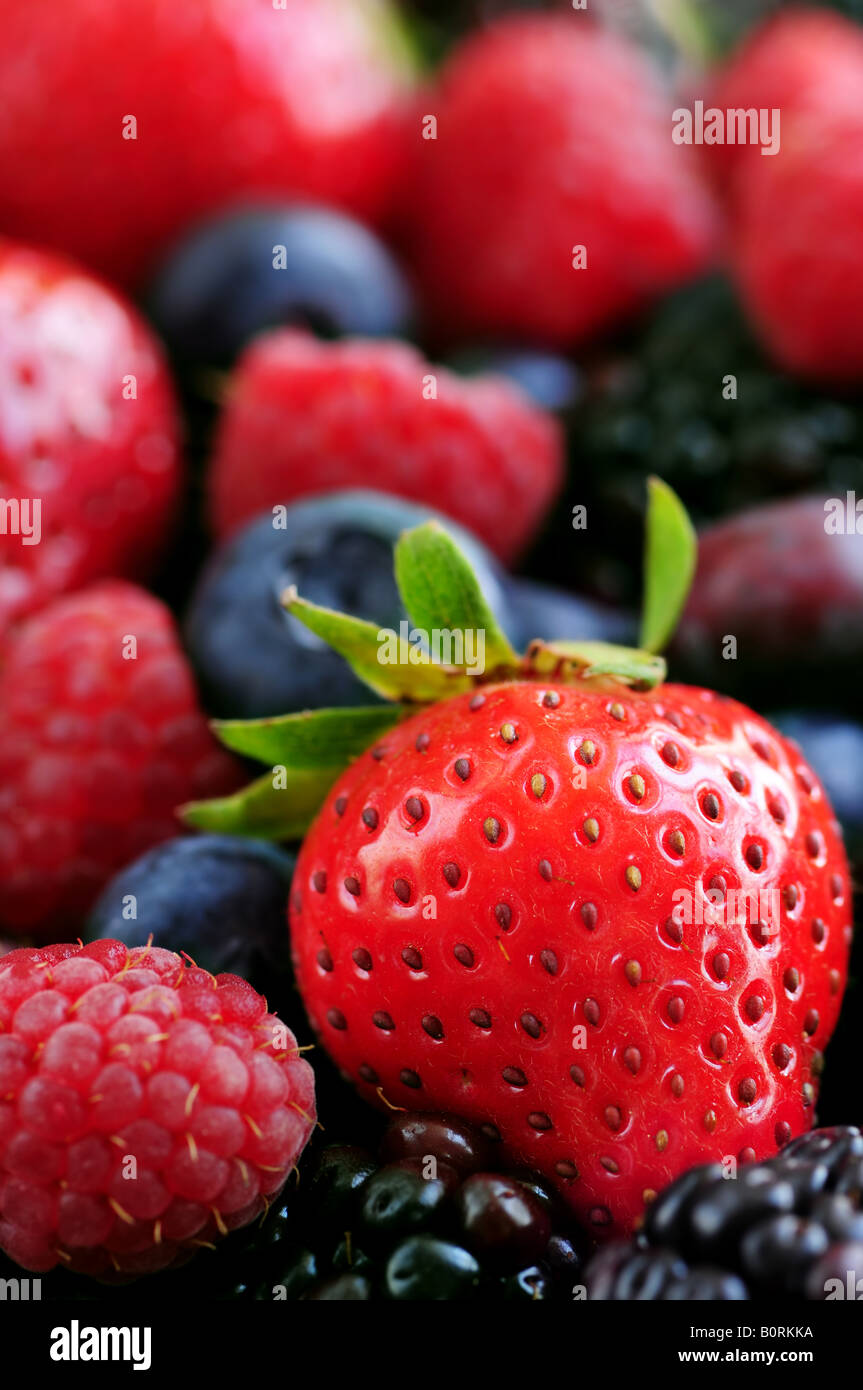 Background of assorted fresh berries close up Stock Photo - Alamy