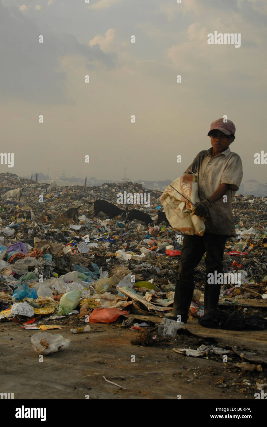 Stung mean chey dump hi-res stock photography and images - Alamy