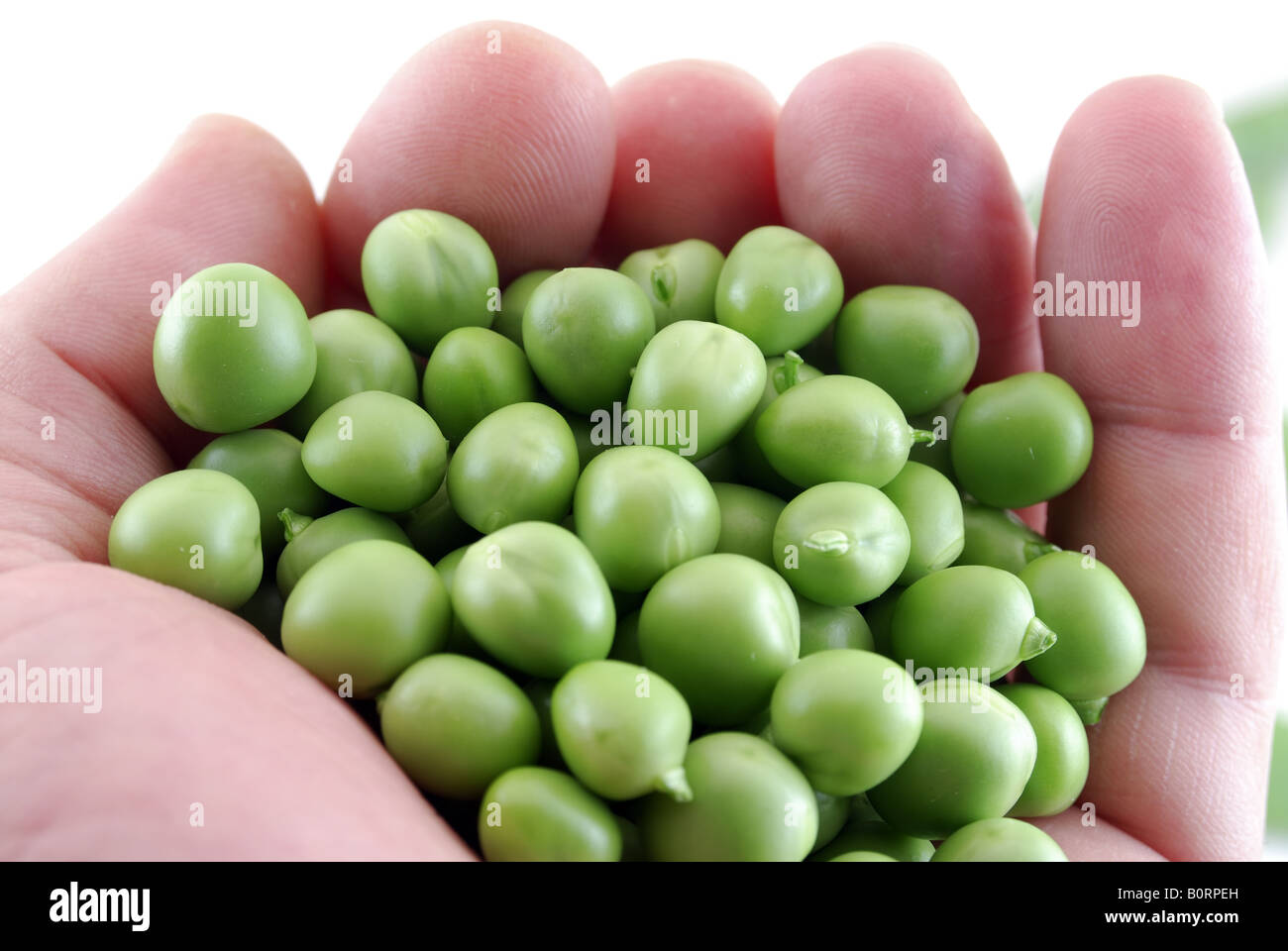 round green seed eating as vegetable Stock Photo - Alamy