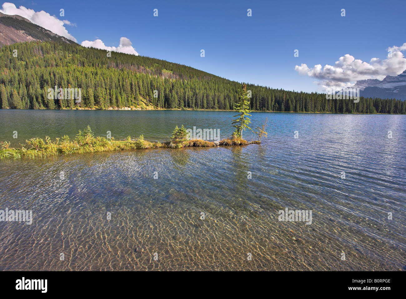 Small island on a shallow of northern mountain lake Stock Photo - Alamy
