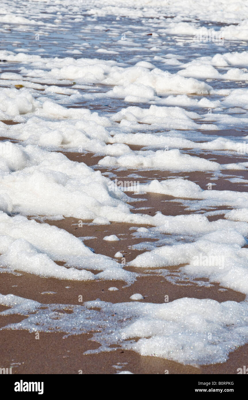 Sea spray, foam and spume on a beach in Scotland Stock Photo - Alamy