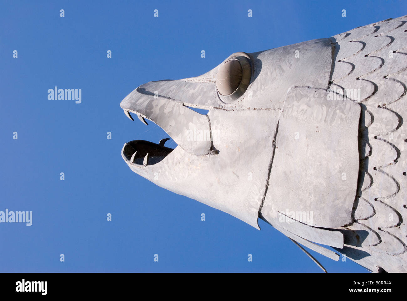Metal fish hi-res stock photography and images - Alamy