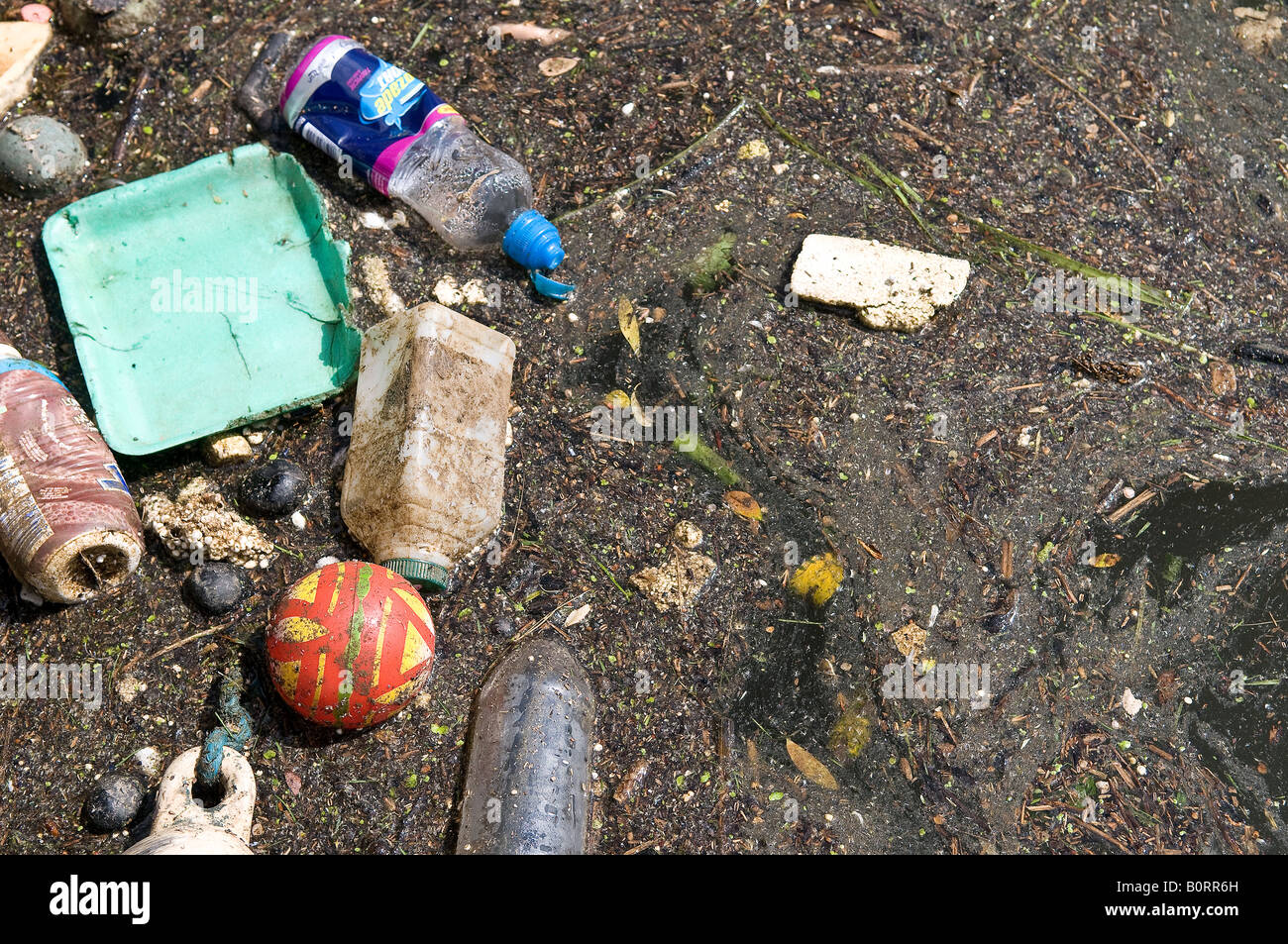 Pollution in the river thames hi-res stock photography and images - Alamy