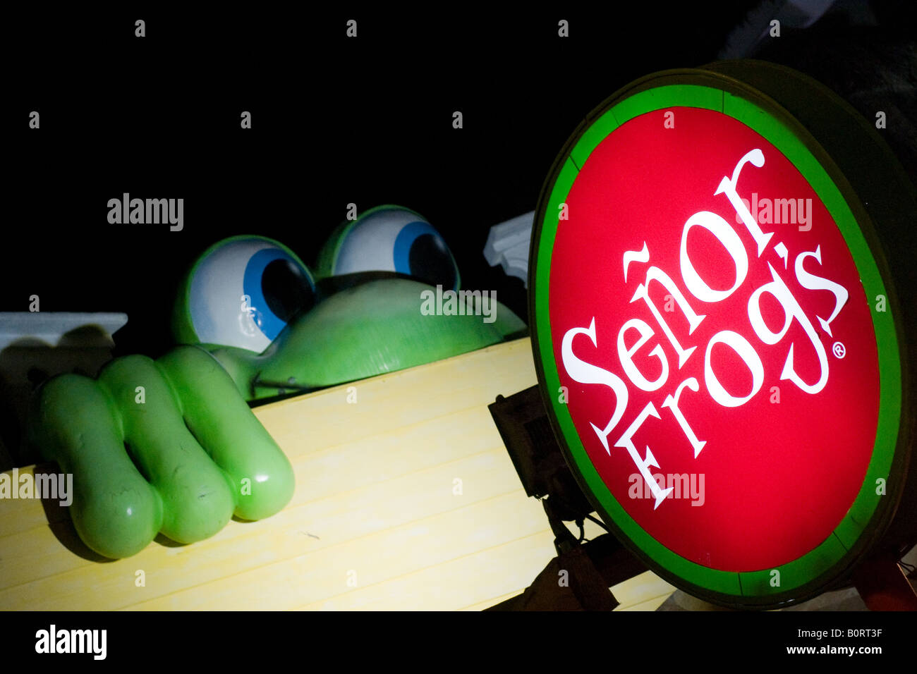 SIgn for Senor Frogs bar in Playa del Carmen Mexico Stock Photo - Alamy