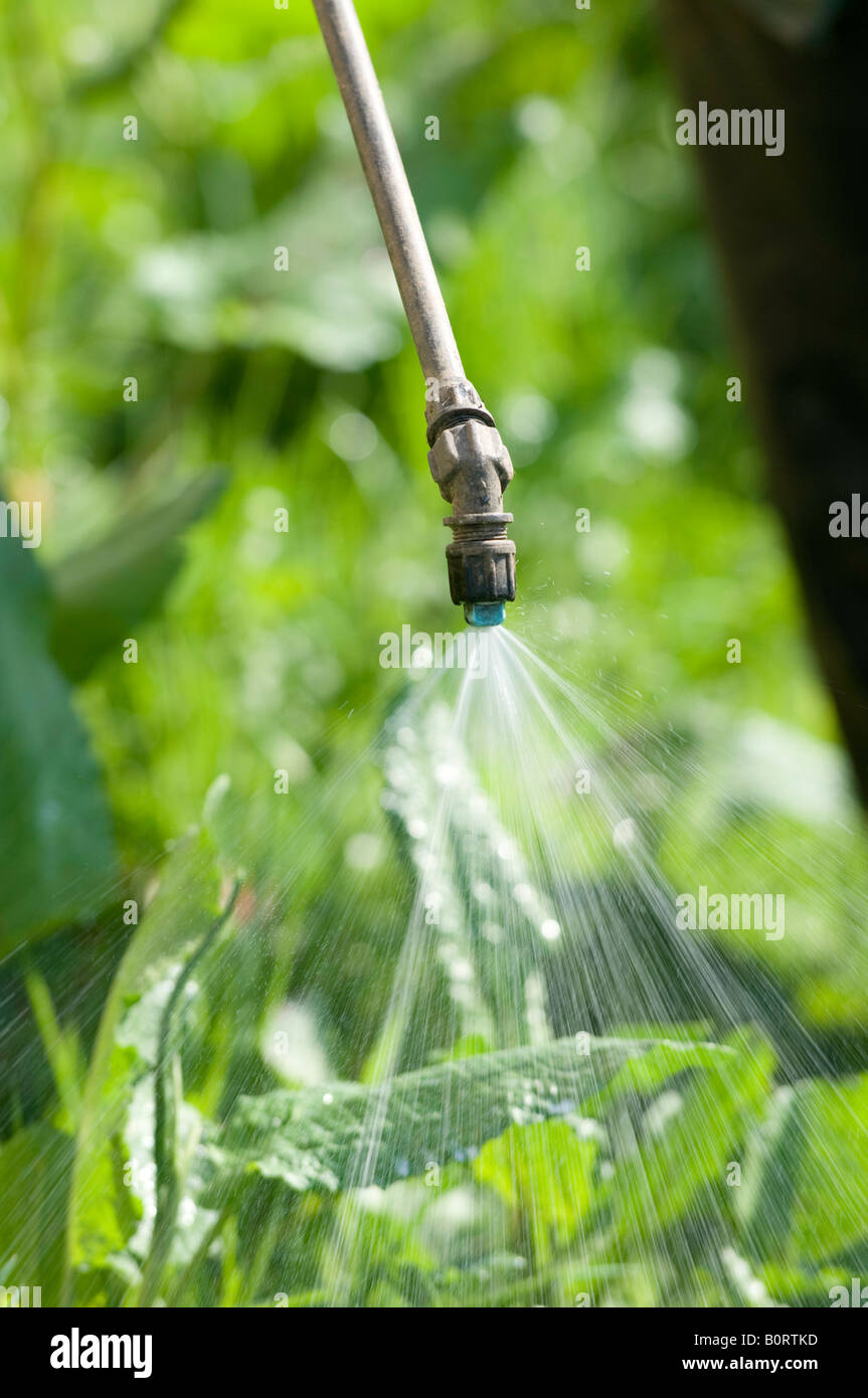 Spraying weeds hi-res stock photography and images - Alamy