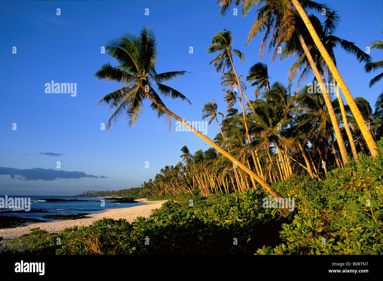 Cape Mulinuu Savaii Samoa Stock Photo - Alamy