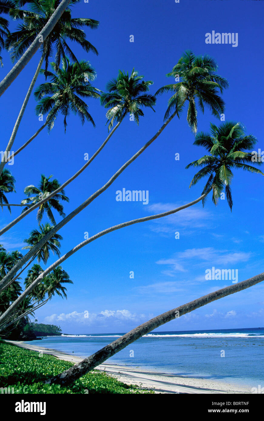 Faiaai Beach Island of Savaii Samoa Stock Photo - Alamy