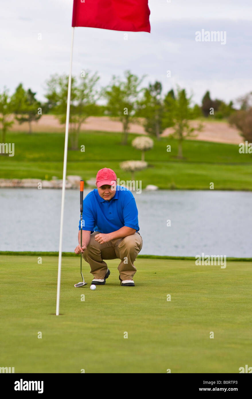 A golfer putting into a hole on a putting green Stock Photo - Alamy