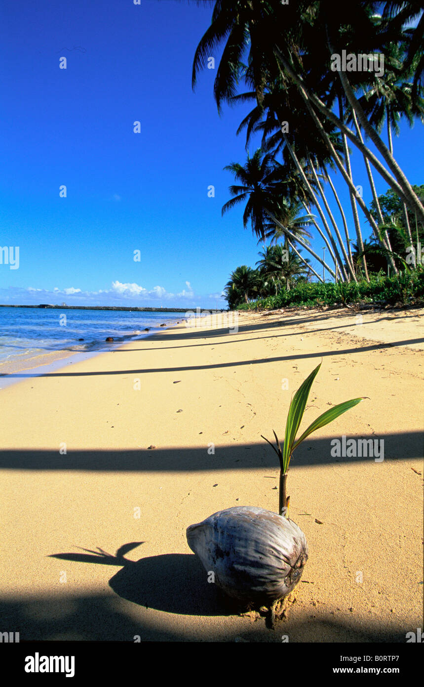 Melekeok Babeldaoh Palau Micronesia Stock Photo - Alamy