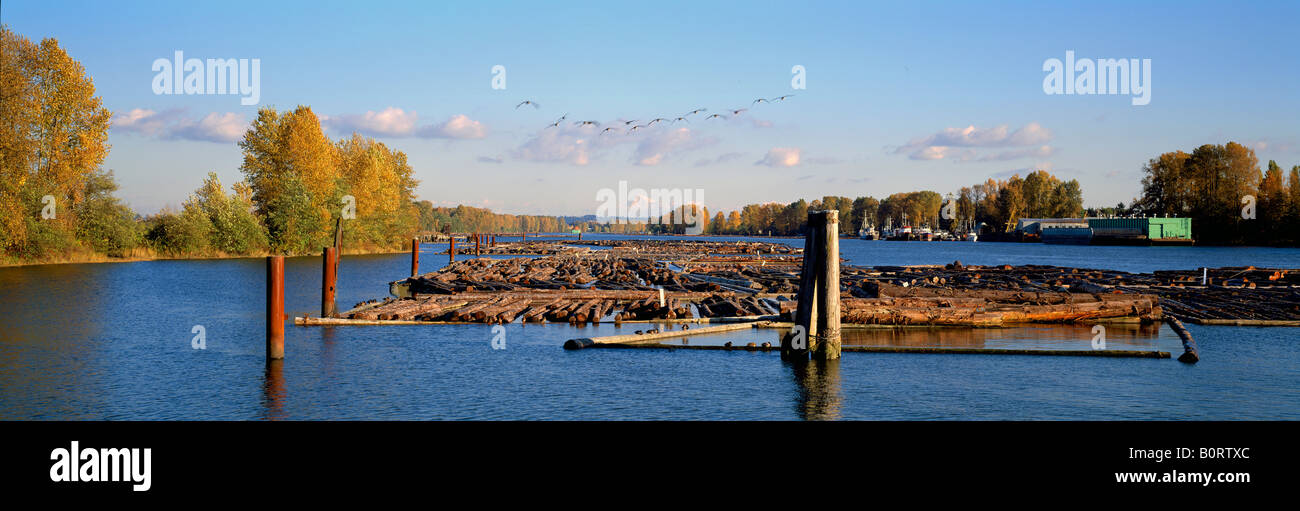 Fraser River, Vancouver, BC, British Columbia, Canada - Logs in Log ...