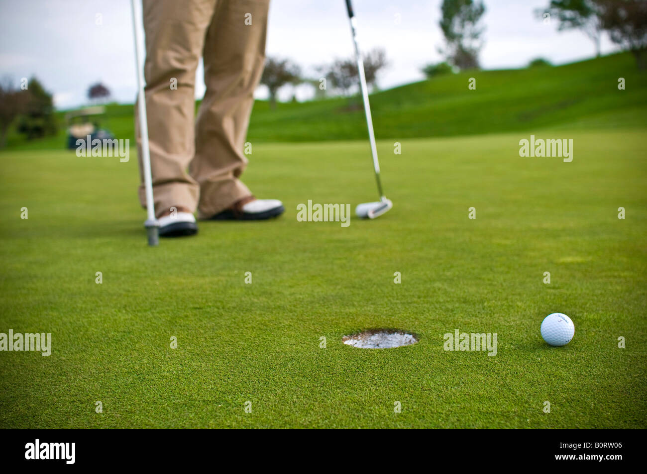 A golfer putting into a hole on a putting green Stock Photo - Alamy