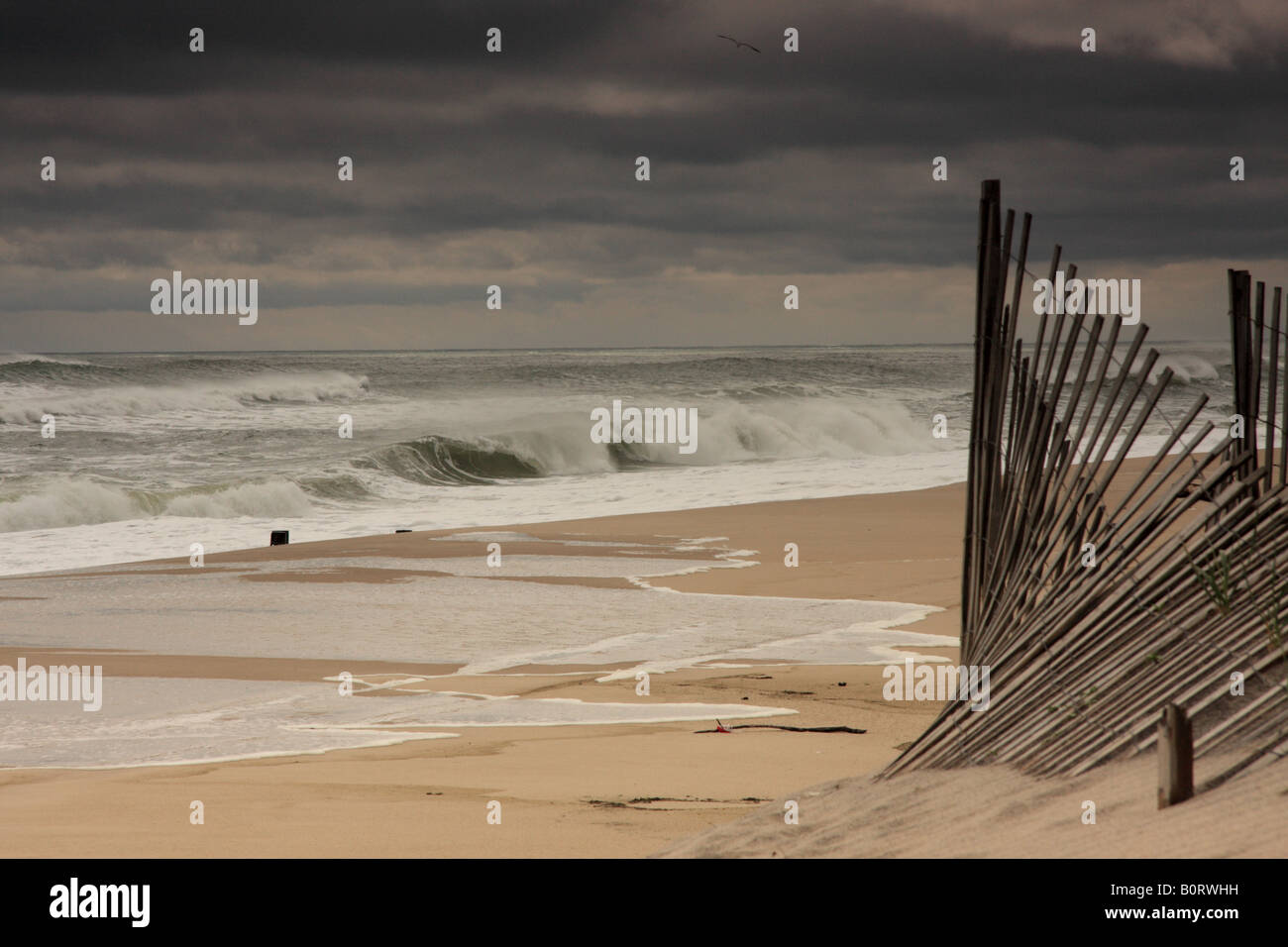 Atlantic rollers or waves break on the shore at Long Island,New York ...