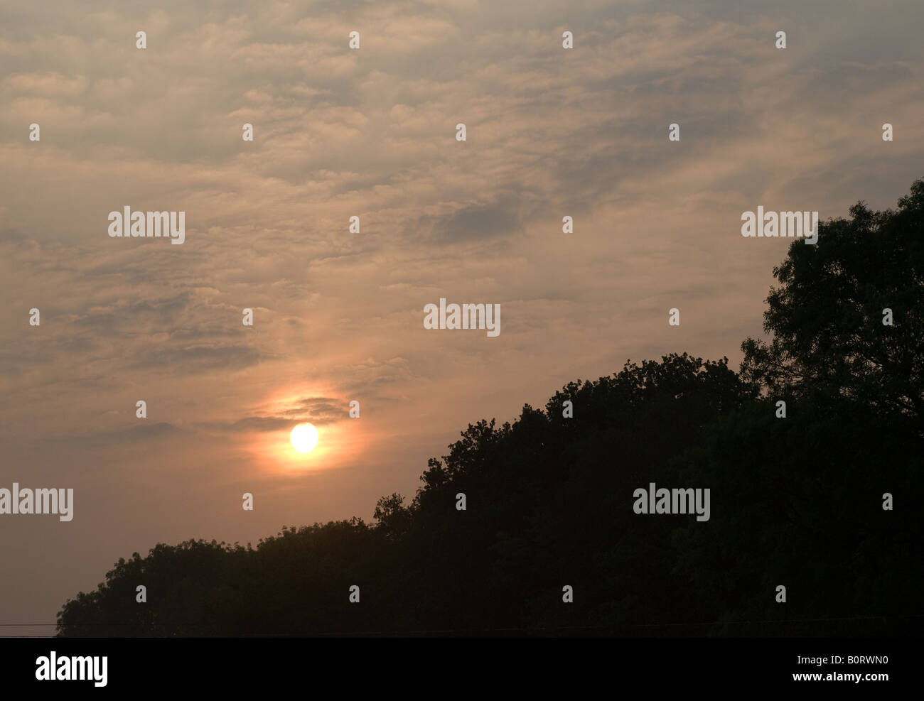 Spring sunrise sussex hi-res stock photography and images - Alamy