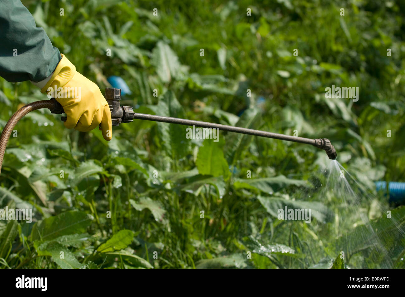 Spraying weeds hi-res stock photography and images - Alamy