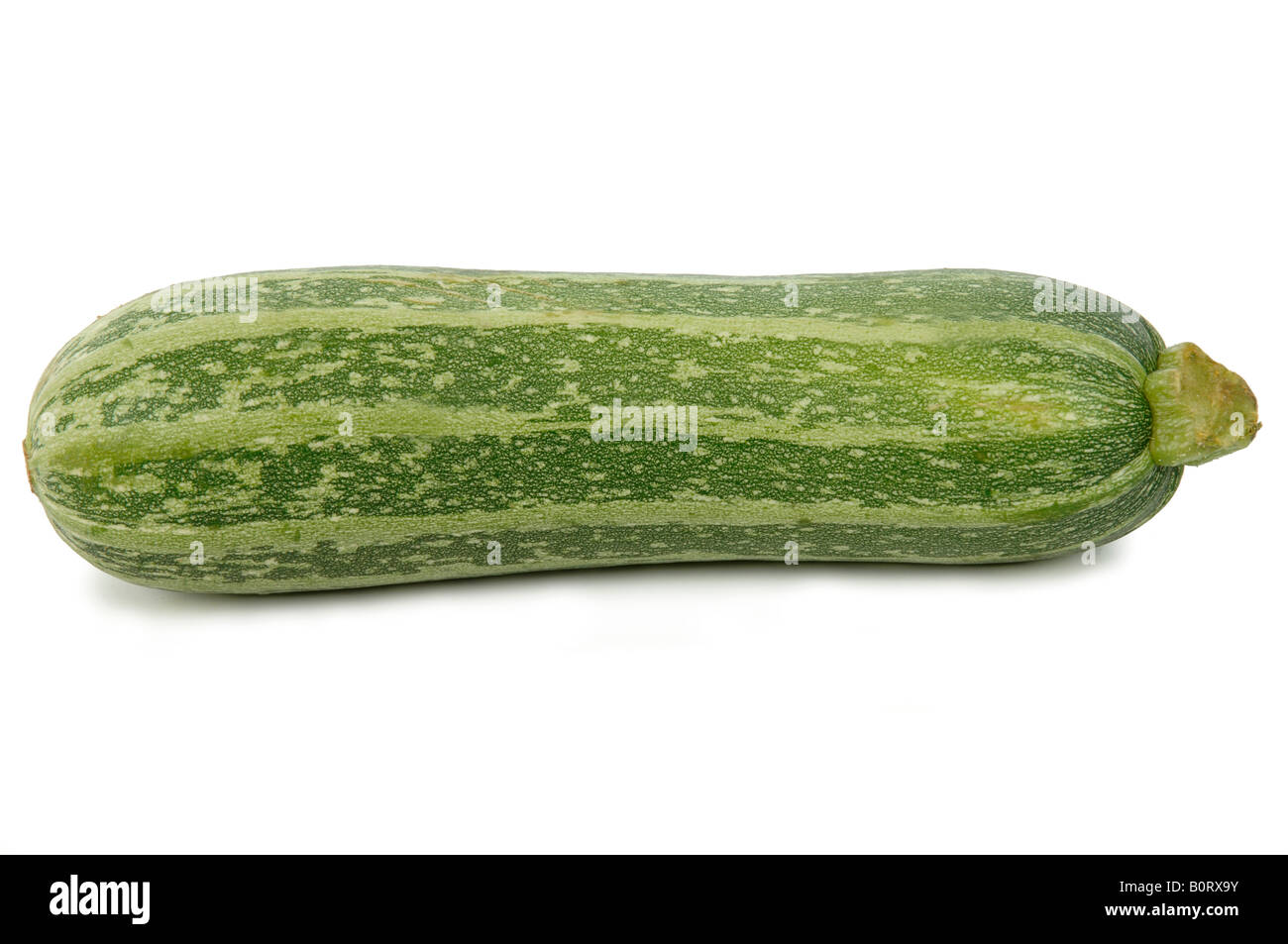 a cut-out picture of a marrow Stock Photo - Alamy