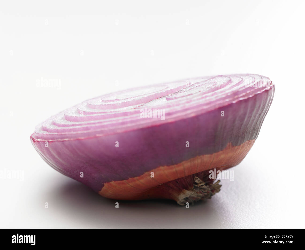 cross section of fresh onion Stock Photo - Alamy