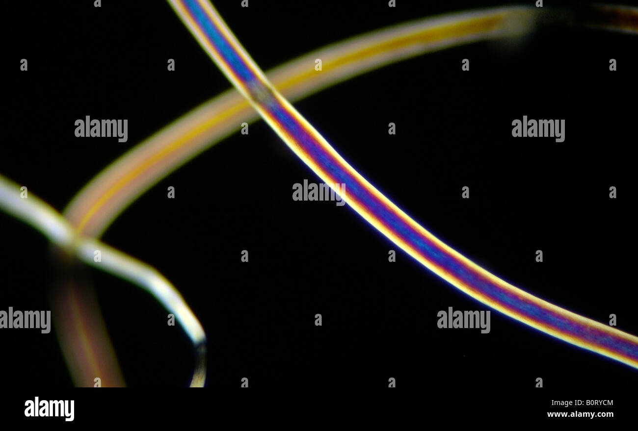 Polarized Microscope High Resolution Stock Photography and Images - Alamy