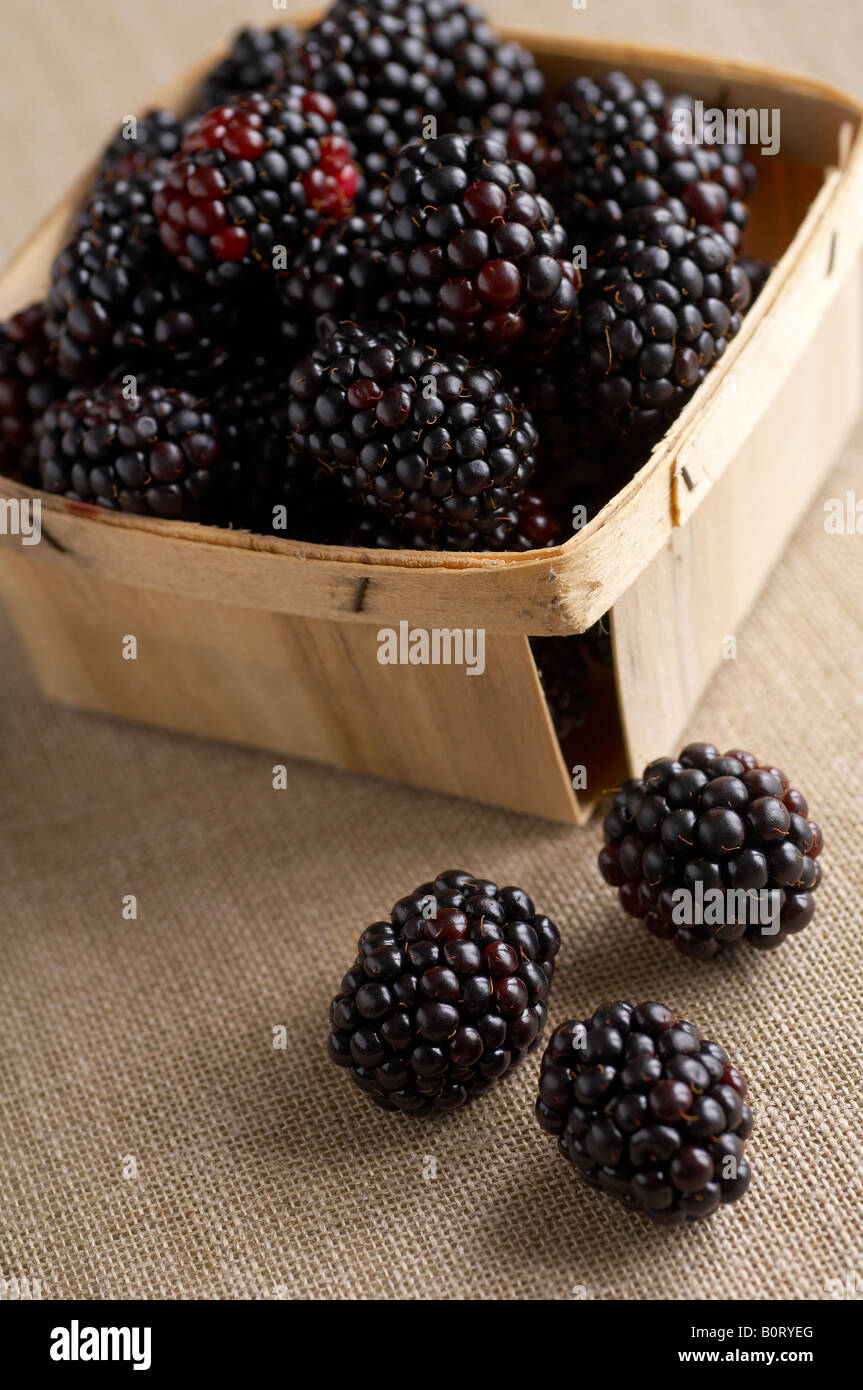 Punnet of blackberries hi-res stock photography and images - Alamy