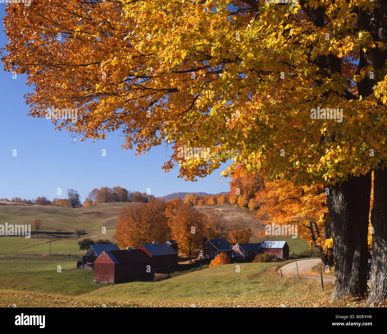 New england rolling hills in autumn hi-res stock photography and images ...