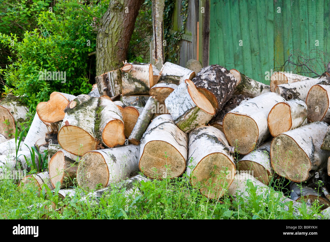 Pile of logs Stock Photo - Alamy