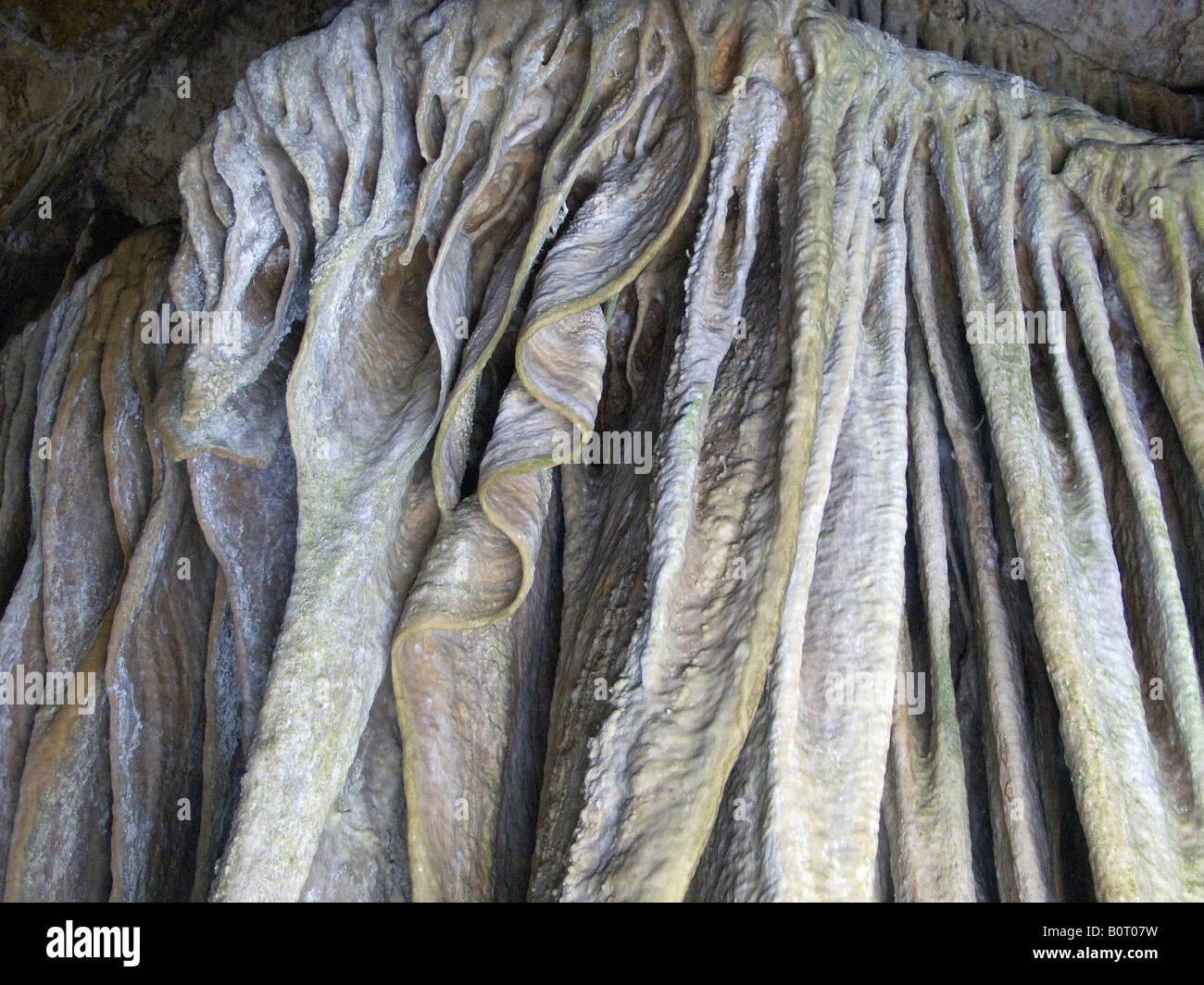 Soda straw cave hi-res stock photography and images - Alamy