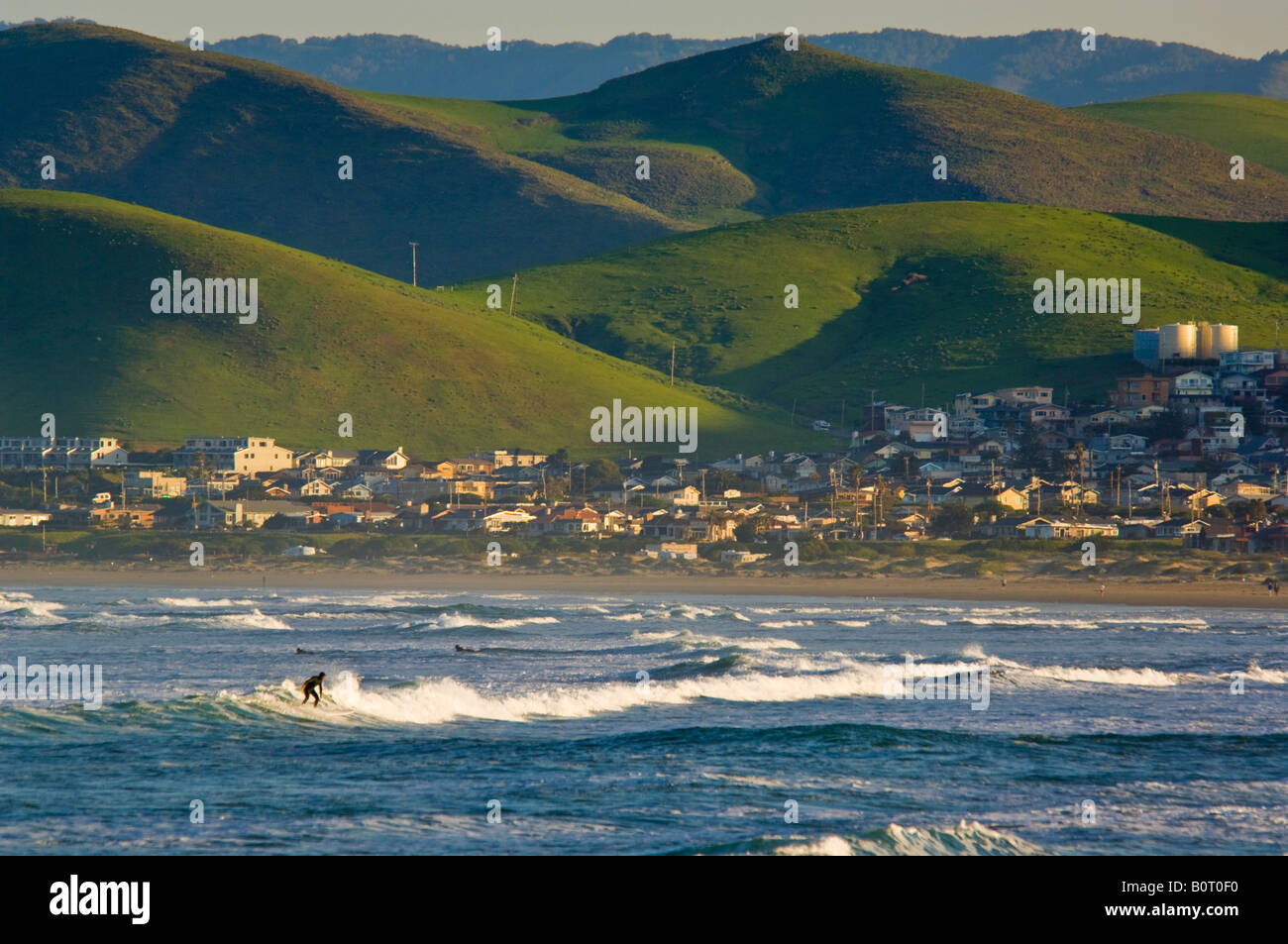 Surfer riding the waves below green hills in spring at Morro Strand ...