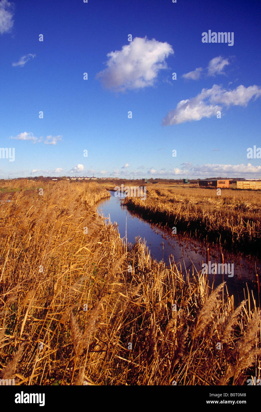 Kent Marshes High Resolution Stock Photography and Images - Alamy