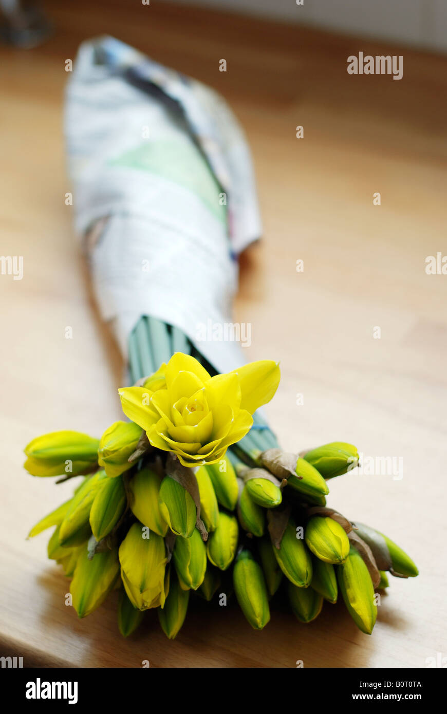Freshly cut daffodils hi-res stock photography and images - Alamy