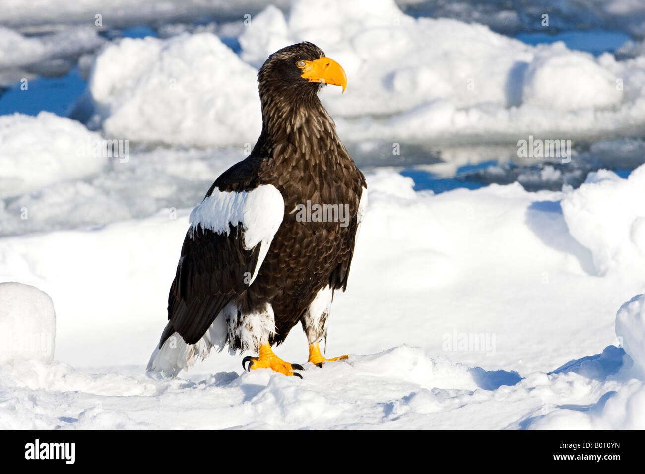 Nemuro strait hi-res stock photography and images - Alamy
