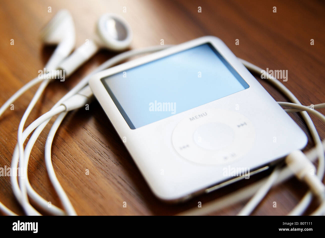 Ipod 5 White And Silver
