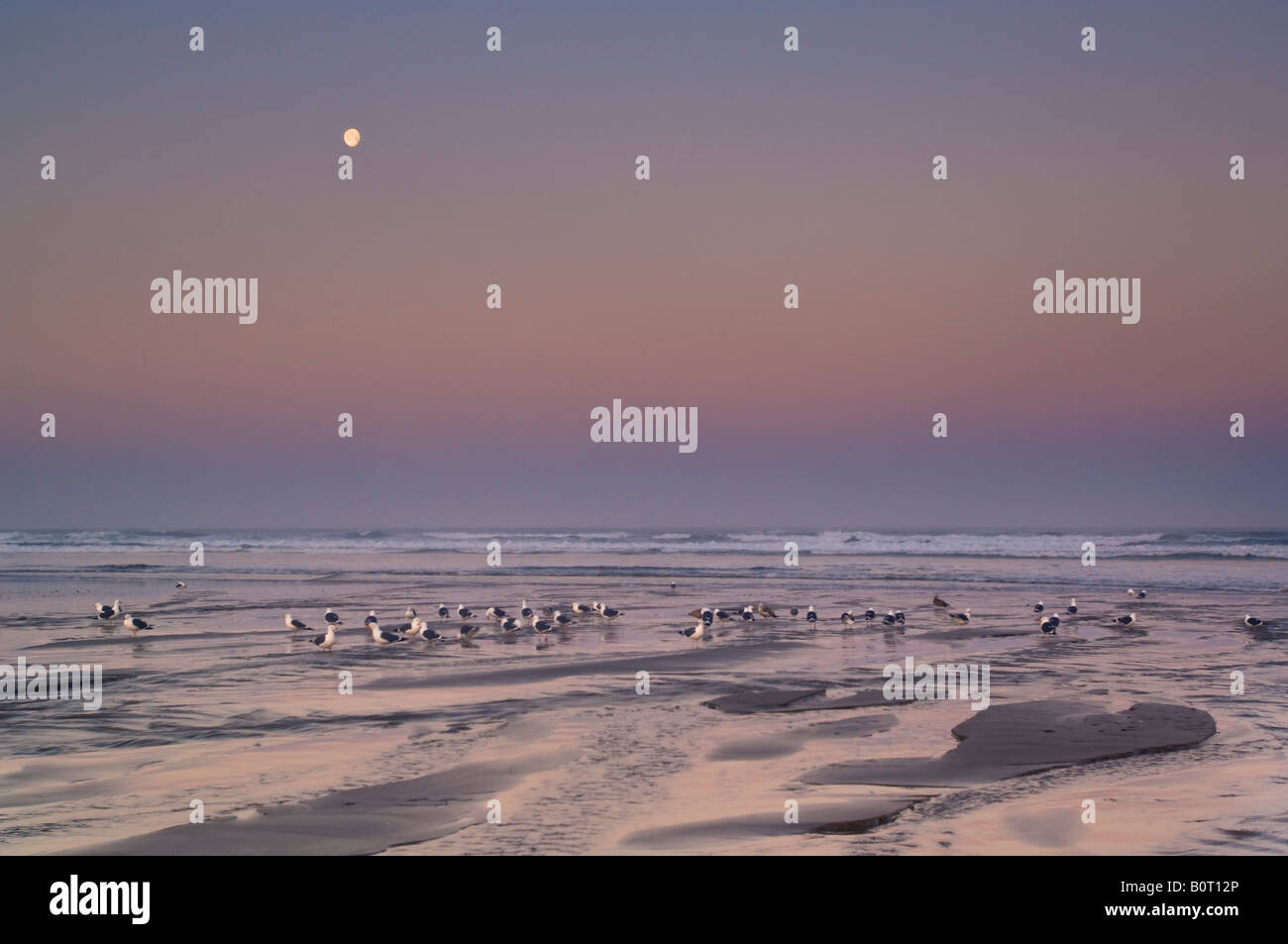 Moonset over pacific ocean hi-res stock photography and images - Alamy