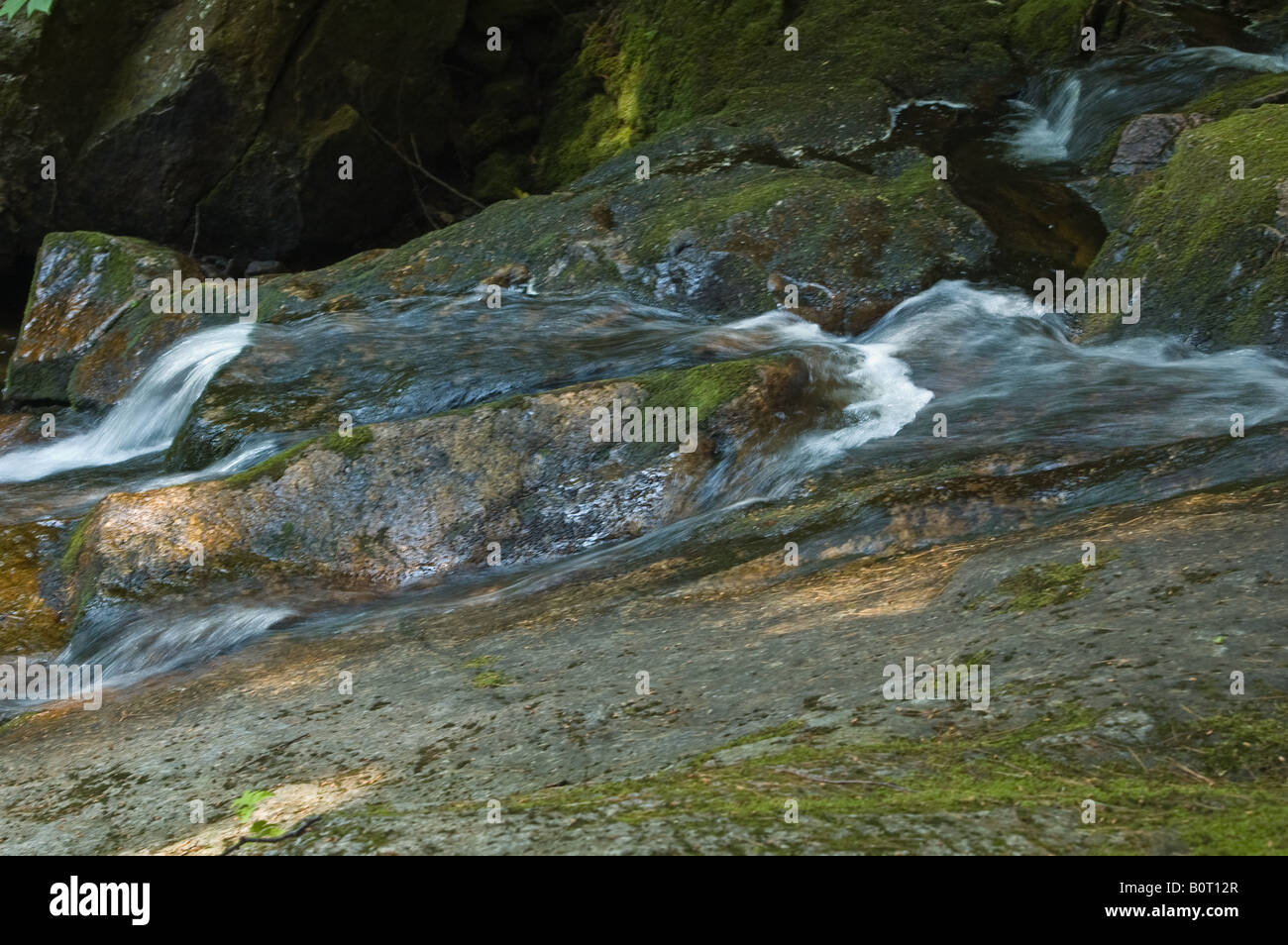 cool mountain spring water stream flows over moss covered boulders in ...