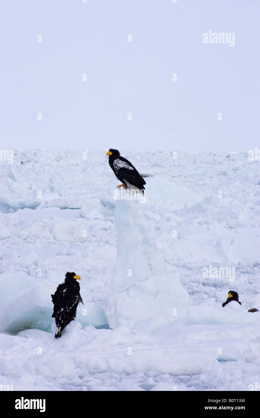 Nemuro strait hi-res stock photography and images - Alamy