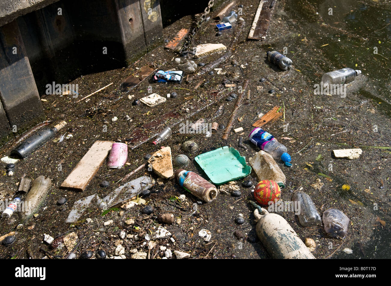 Floating rubbish and pollution in the river Thames Stock Photo - Alamy