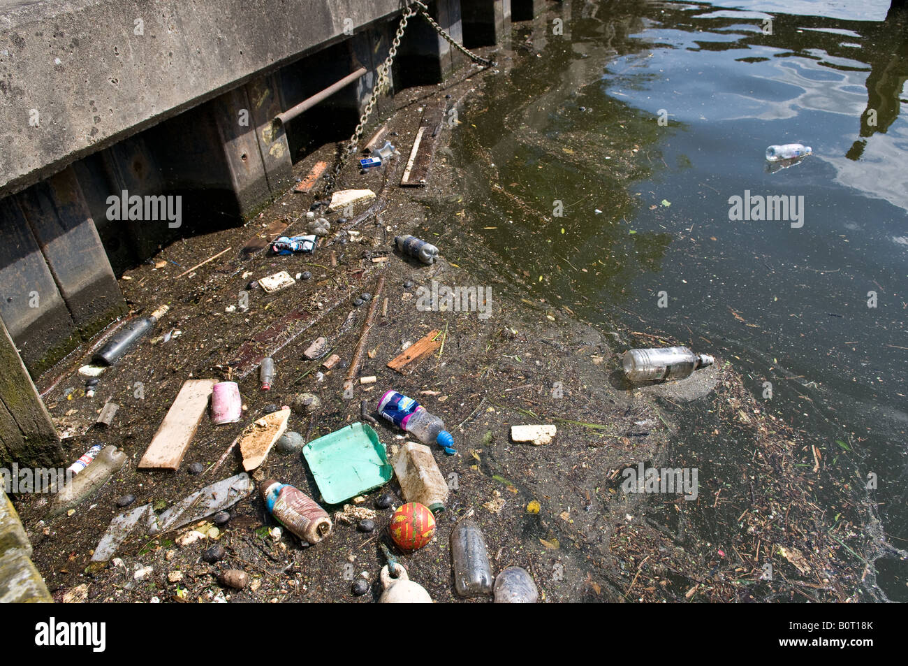 Floating rubbish and pollution in the river Thames Stock Photo - Alamy