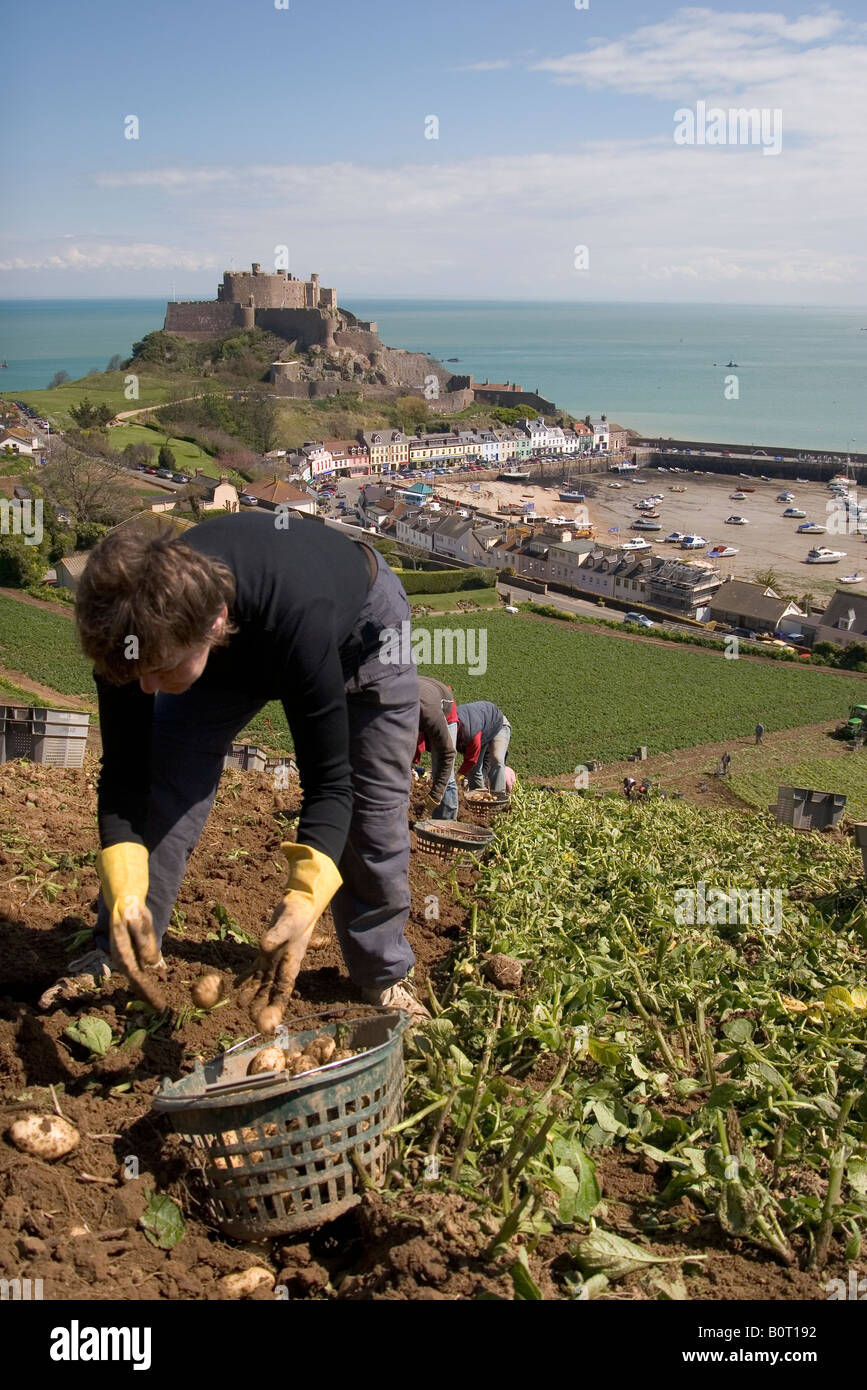 Polish workers hi-res stock photography and images - Alamy