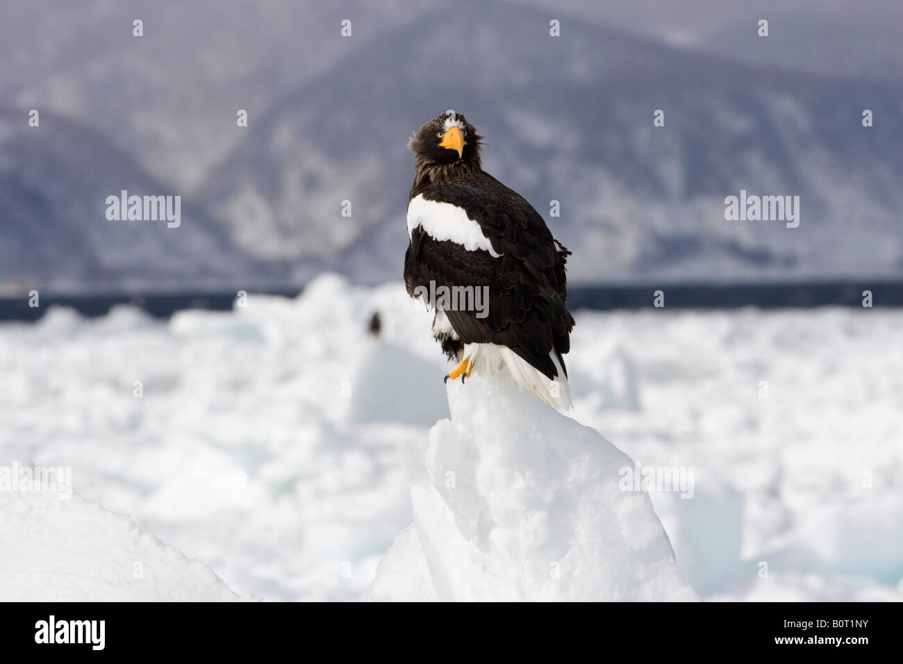 Nemuro strait hi-res stock photography and images - Alamy