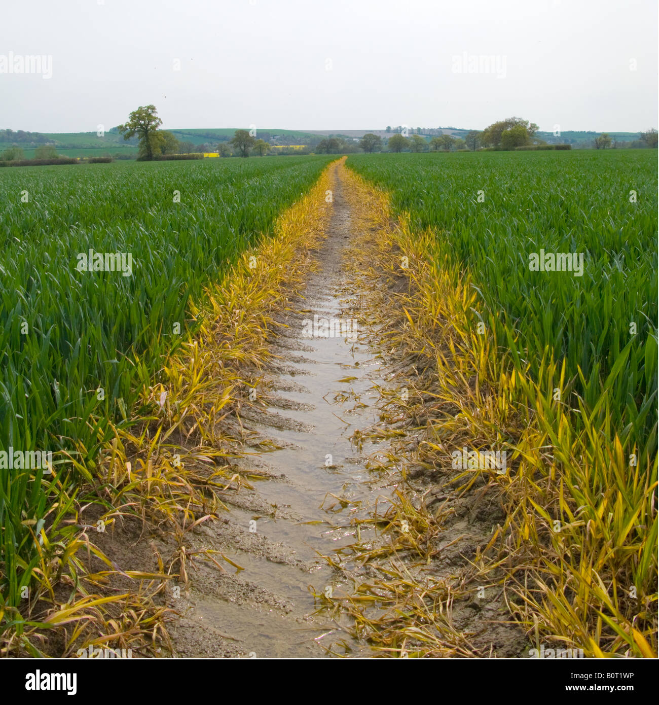 Track across field hi-res stock photography and images - Alamy
