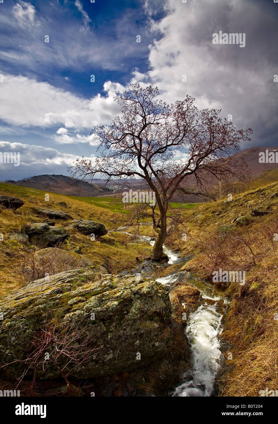 Tree, Brook And Clouds Stock Photo - Alamy