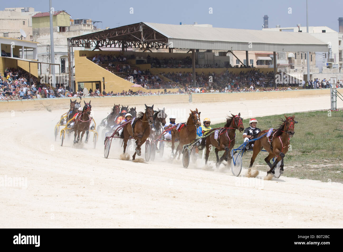 Cinder and sand racing at Marsa racetrack, Trotters, Horse-racing, Trot ...