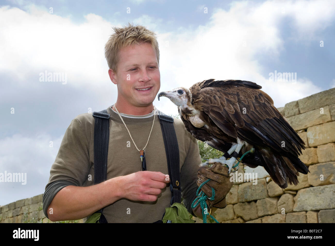 The Art of Falconry with trained bird of prey. Falconer at Malta ...