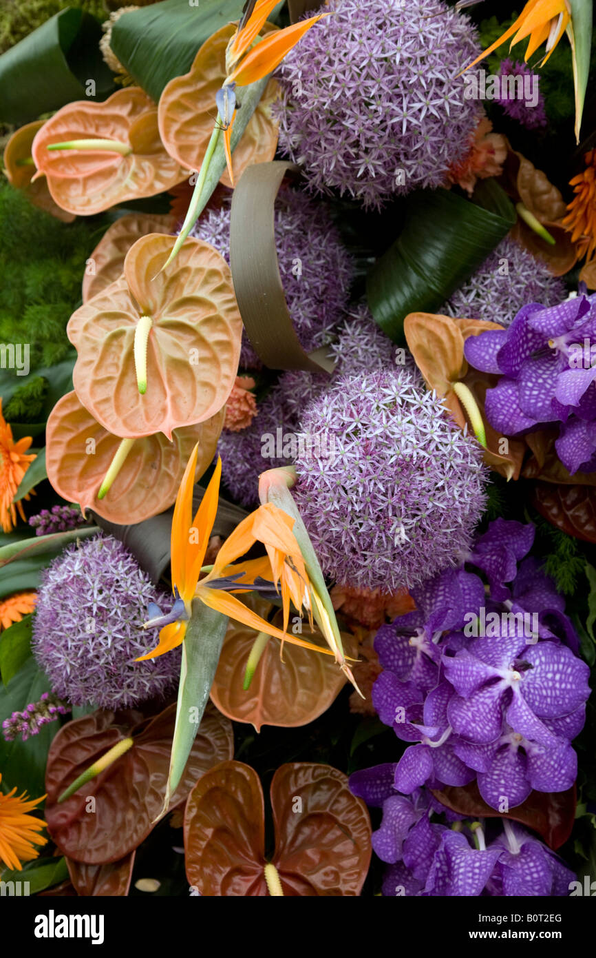Exotic flowers in professional arrangement Stock Photo - Alamy