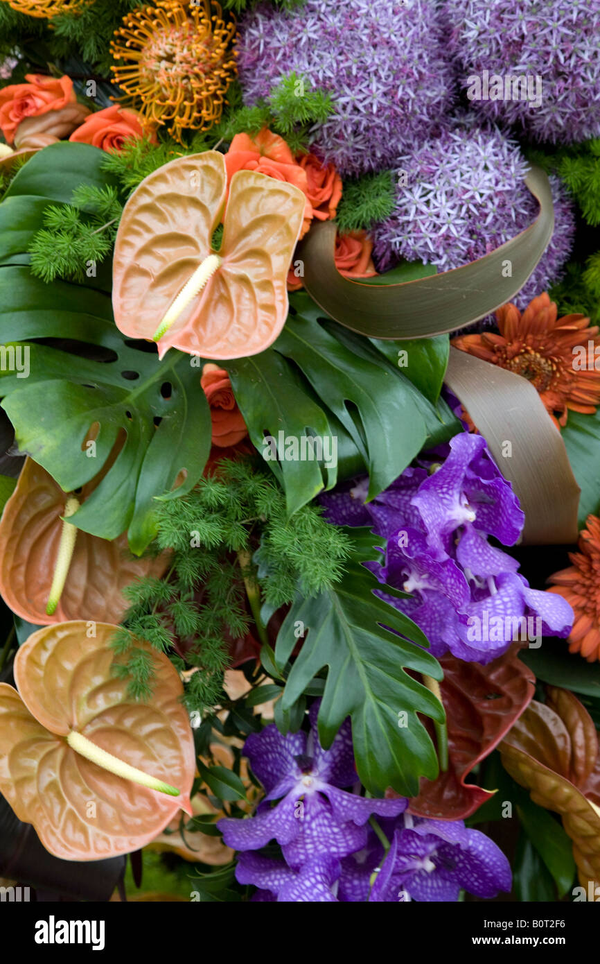 Exotic flowers in professional arrangement Stock Photo - Alamy