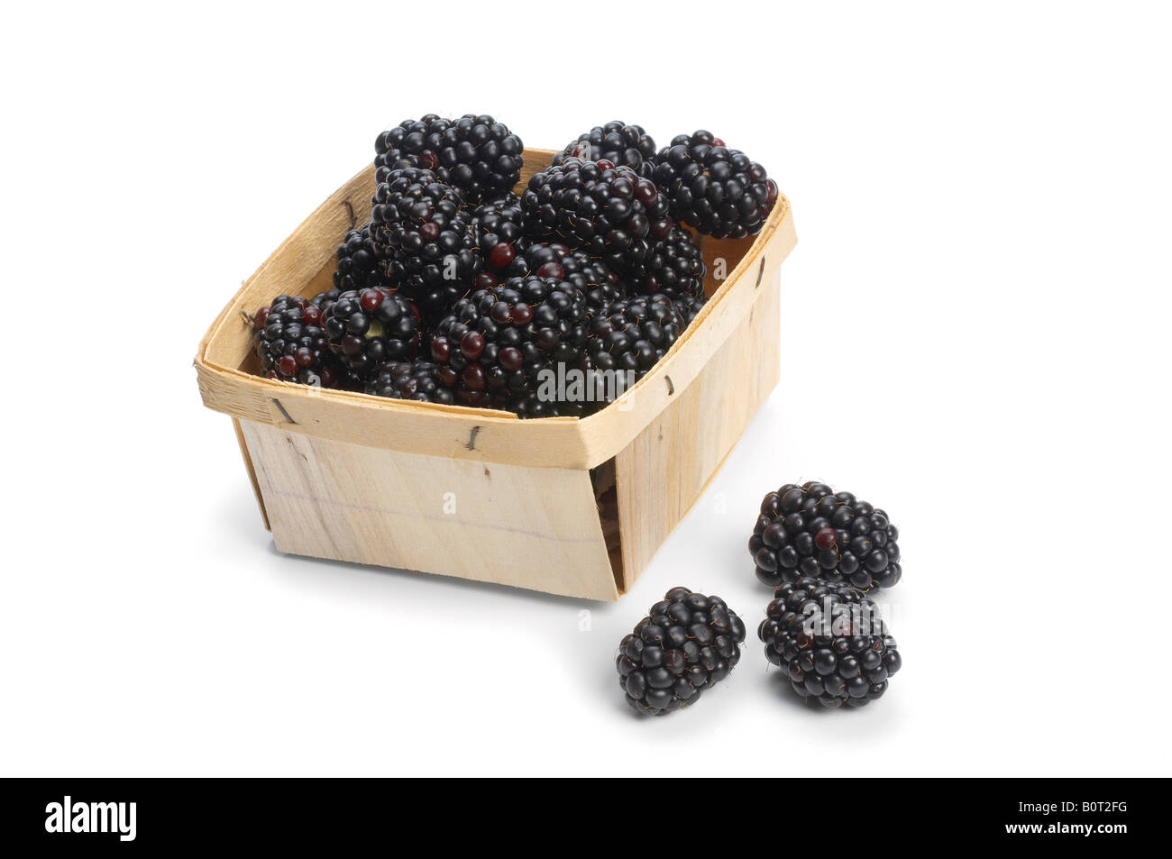 Punnet of fresh blackberries Stock Photo - Alamy