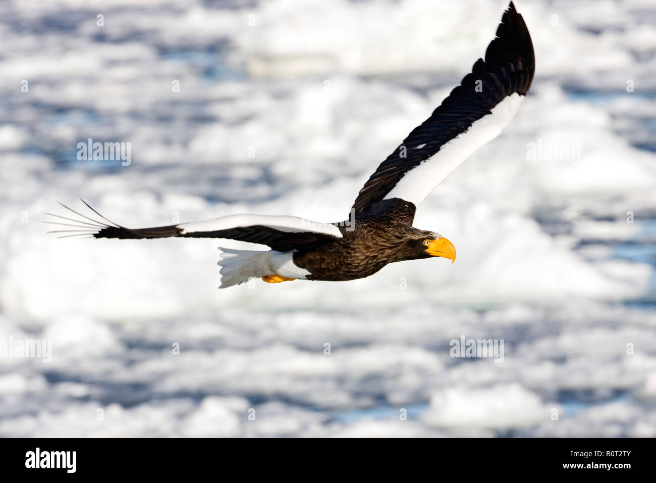 Nemuro strait hi-res stock photography and images - Alamy